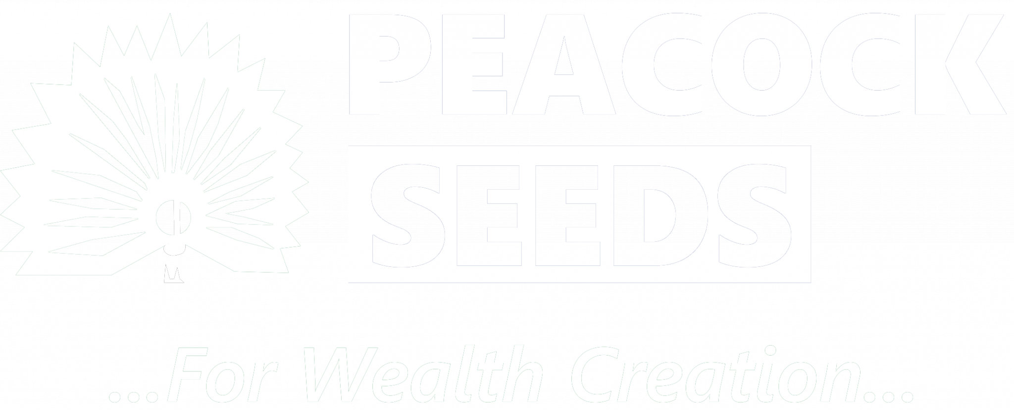 Boosting Crop Yields with Twin Row Planting Peacock Hybrid Maize Seed